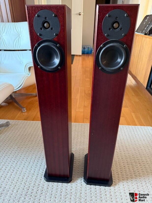 Totem Arro with beaks and weighted bases Photo #6095523 - Canuck Audio Mart