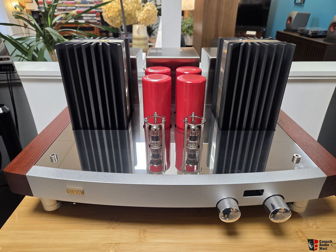 Pathos TT Anniversary Integrated Amplifier (Padouk): Excellent Trade-In ...