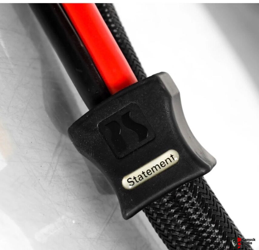 PS AUDIO Xtreme STATEMENT BI WIRE Speaker cable 7 meter pair For Sale ...