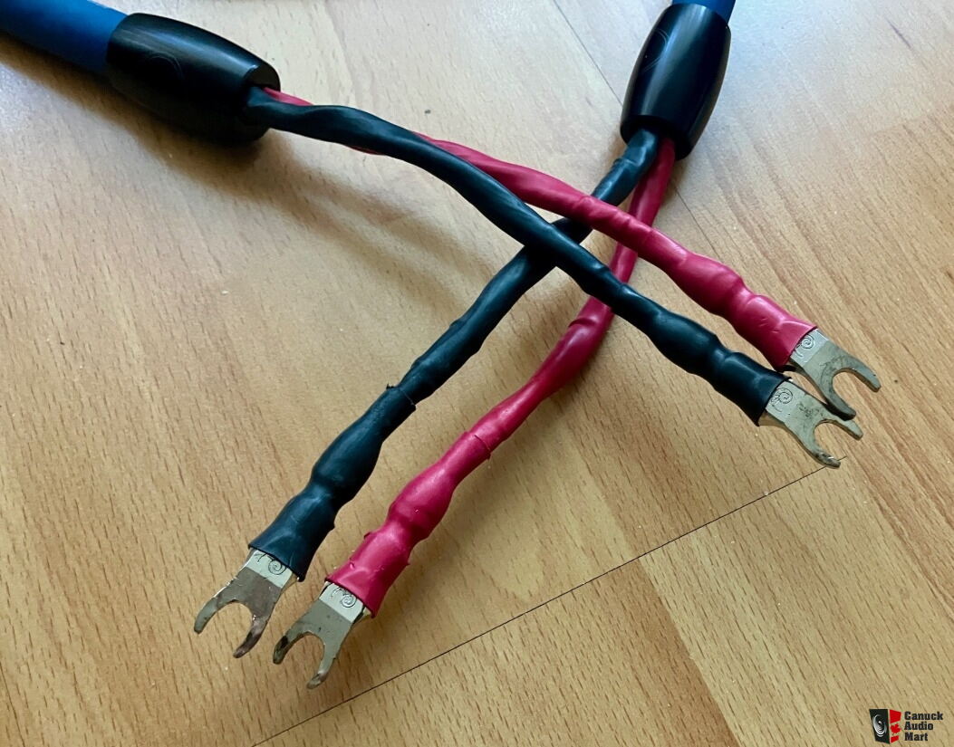 Cardas CLEAR Rev.1 Speaker Cables 2.5 meter Long Photo #6141338 ...