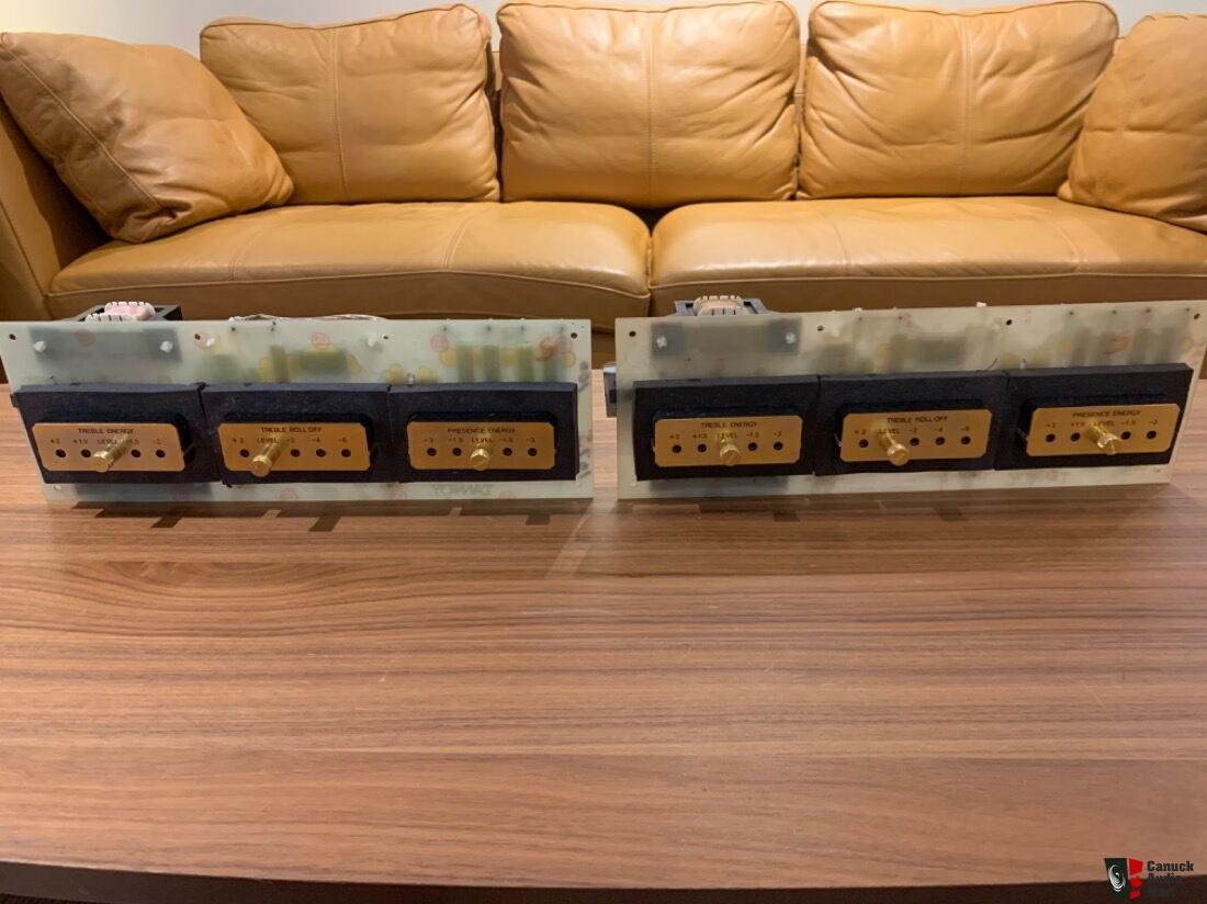 Tannoy Super Gold Monitor Crossovers Photo #6143754 - Canuck Audio Mart