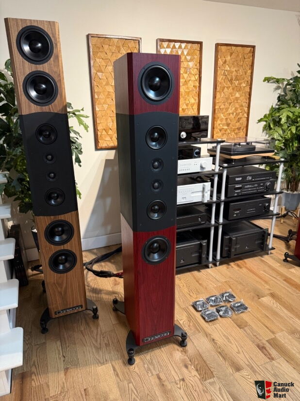 Bryston Trim T10 Premium Rosewood Finish Mint Condition Photo #6155733 ...