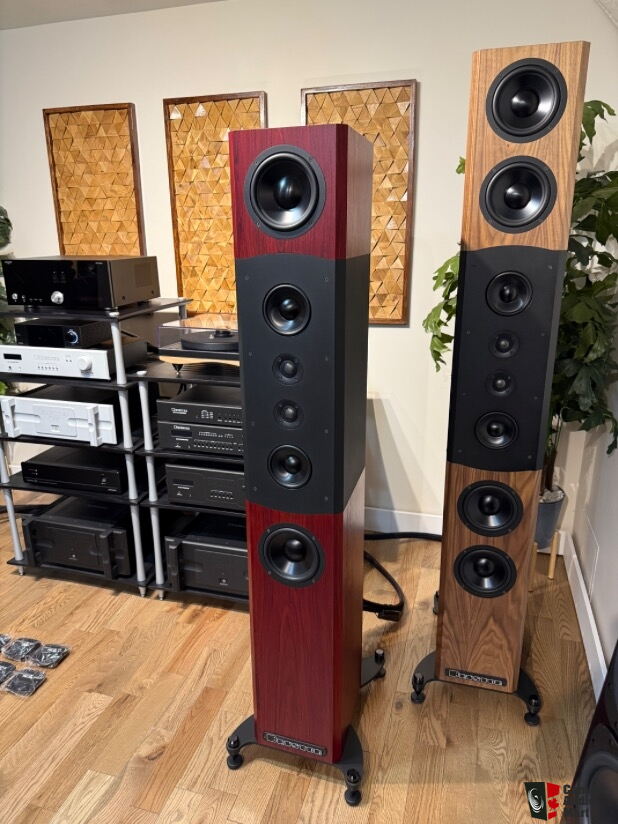 Bryston Trim T10 Premium Rosewood Finish Mint Condition Photo #6155739 ...