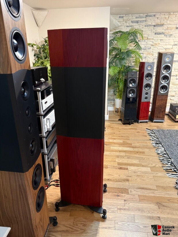 Bryston Trim T10 Premium Rosewood Finish Mint Condition Photo #6155739 ...