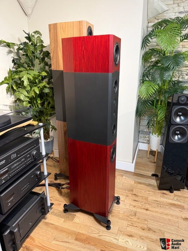 Bryston Trim T10 Premium Rosewood Finish Mint Condition Photo #6155739 ...