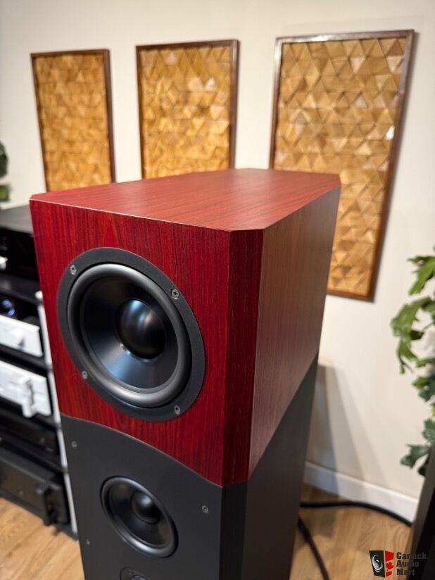 Bryston Trim T10 Premium Rosewood Finish Mint Condition Photo #6155744 ...