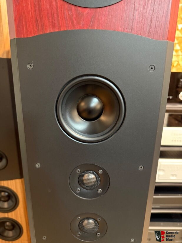 Bryston Trim T10 Premium Rosewood Finish Mint Condition Photo #6155747 ...