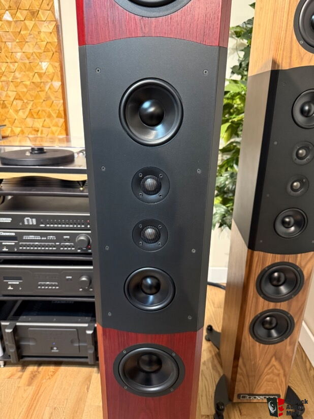 Bryston Trim T10 Premium Rosewood Finish Mint Condition Photo #6155752 ...