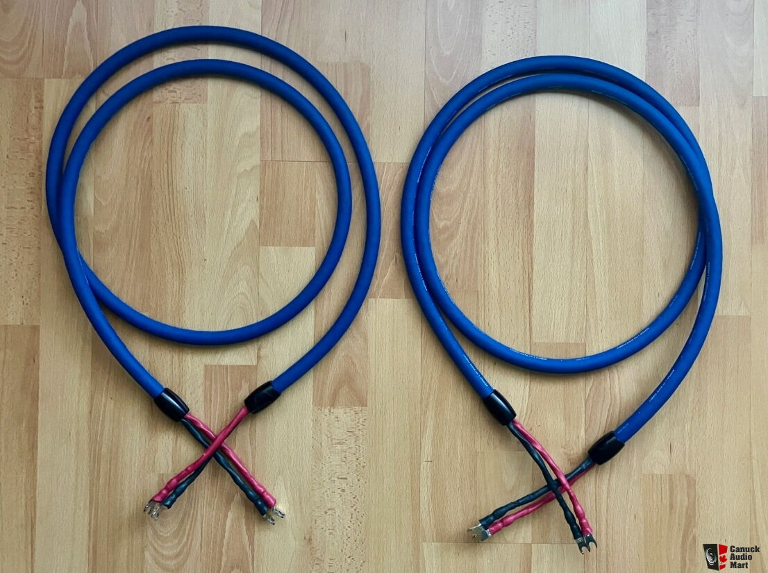 Cardas CLEAR Rev.1 Speaker Cables 2.5 meter Long For Sale - Canuck ...