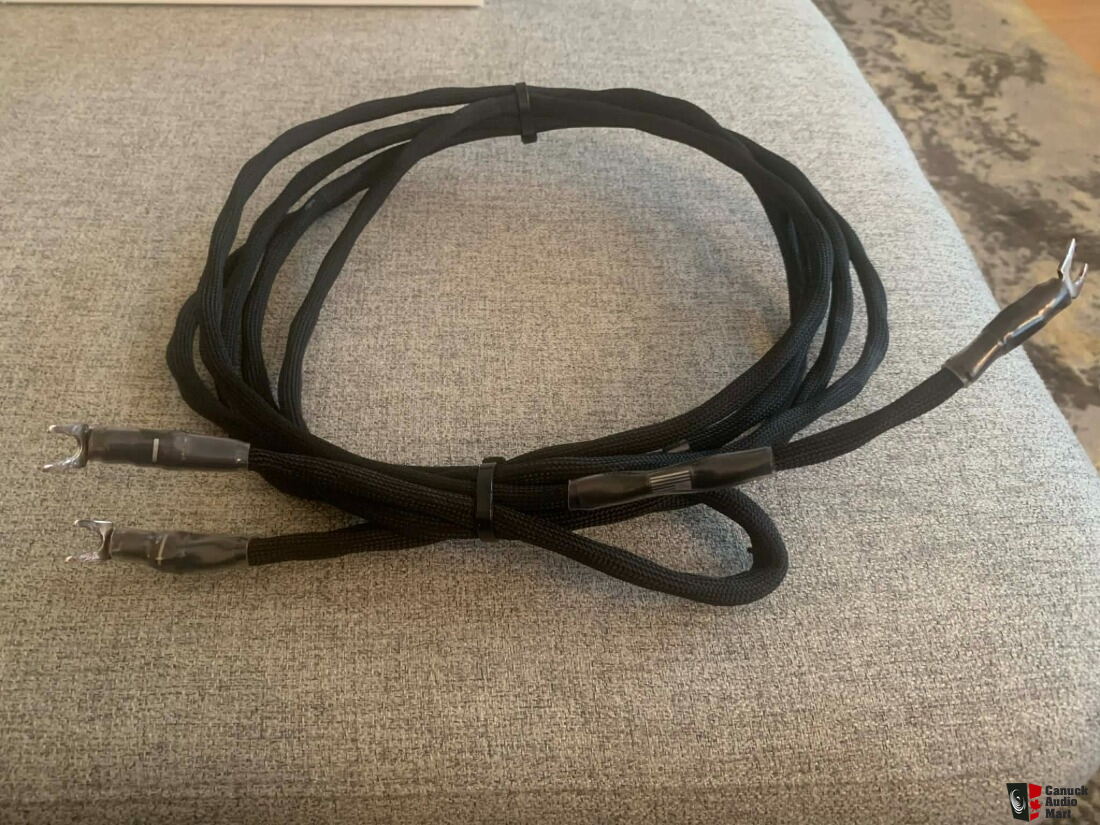 Synergistic Research Foundation Bi-Wire Speaker Cables- 12 feet Photo ...