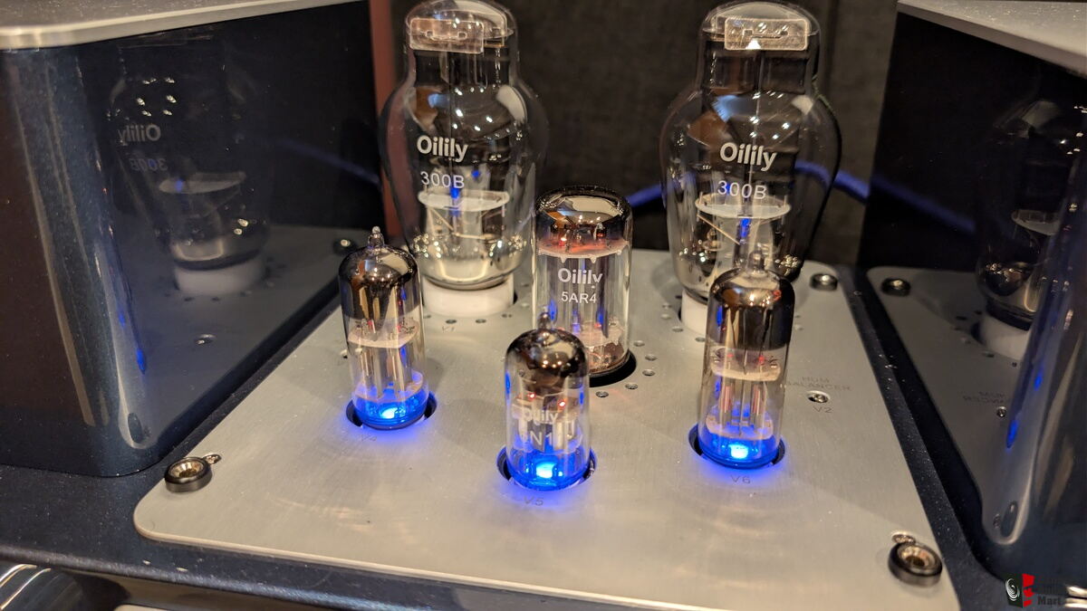 Oilily 300b tube amplifier Class A Photo #6176451 - Canuck Audio Mart