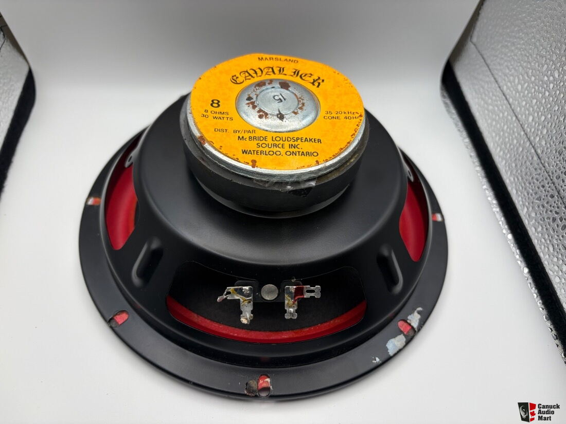 Marsland Dual Concentric Full Range Drivers, 8" (Canada) Photo #6184919 ...