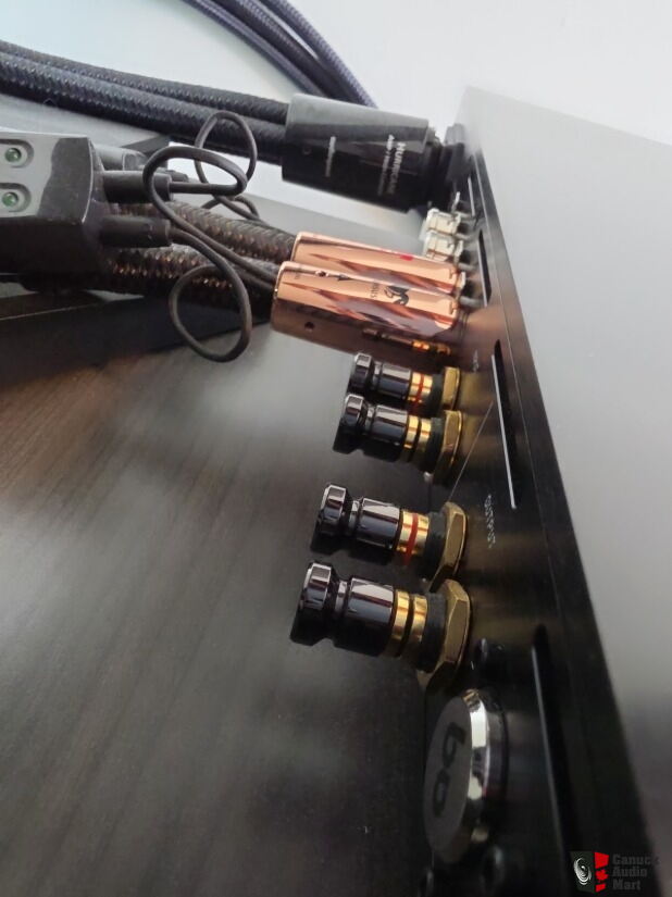 Holo Audio BLISS KTE Photo #6192169 - Canuck Audio Mart