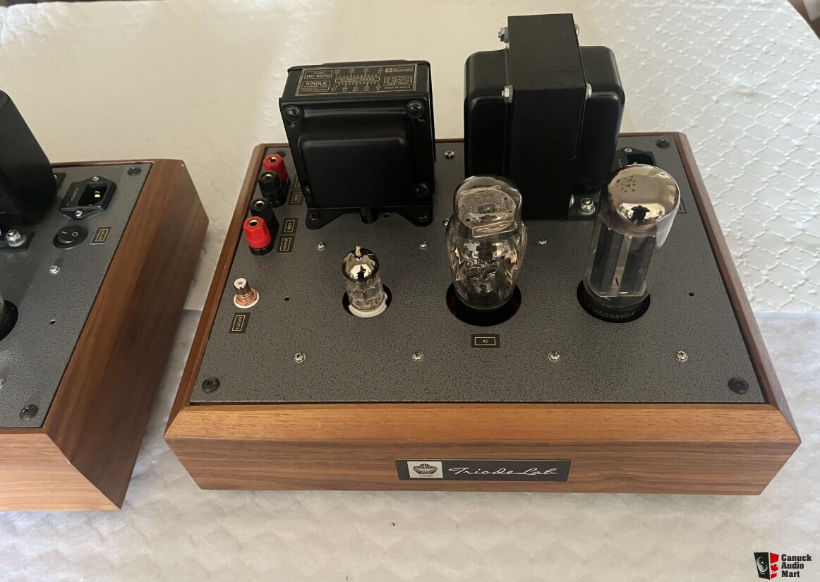 Triode Lab 45M Mono Block Amplifiers with tubes. Excellent Sound! Photo ...