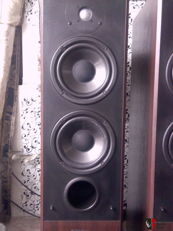 Sound Dynamic Speakers Photo #623495 - US Audio Mart
