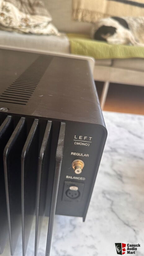 Classe CA-200 Power Amplifier Silver Photo #6237236 - Canuck Audio Mart