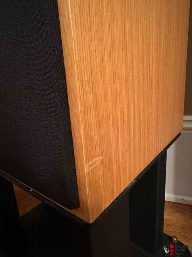 Audio Note AN-E/L speakers Photo #6252047 - Canuck Audio Mart