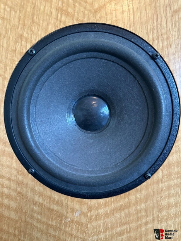 Audio Note AN-E/L speakers Photo #6252047 - Canuck Audio Mart
