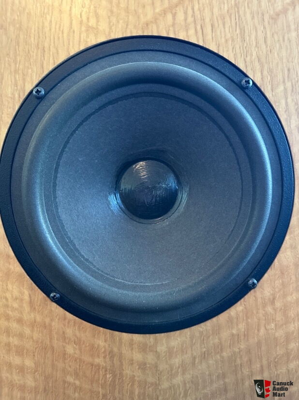 Audio Note AN-E/L speakers Photo #6252047 - Canuck Audio Mart