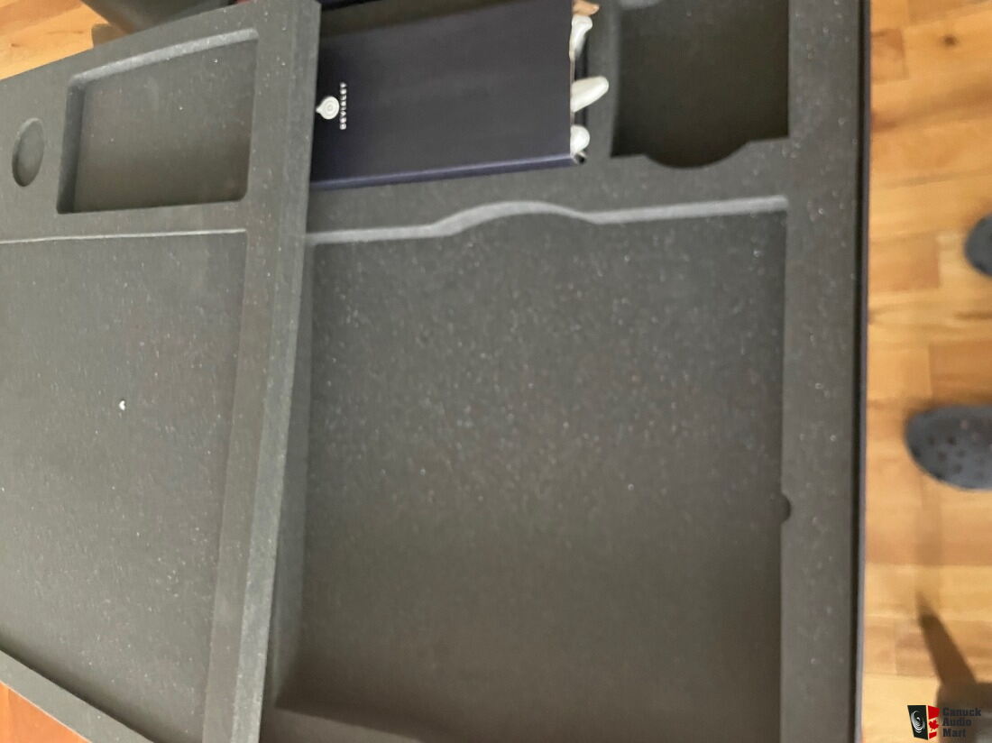 Devialet expert 120 Photo #6252358 - Canuck Audio Mart
