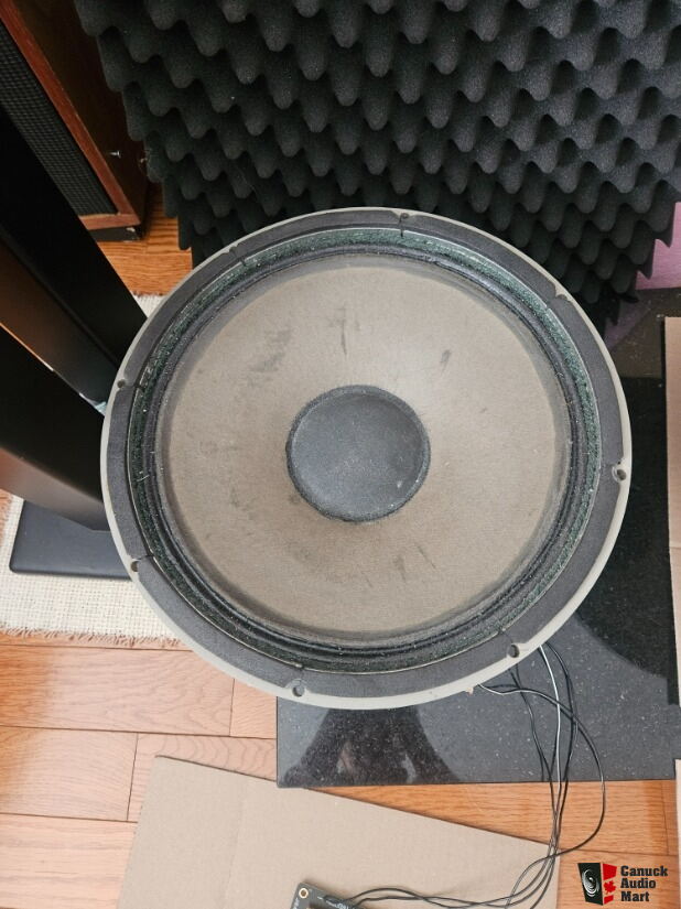 Tannoy 15" Gold Monitors LSU Without Crossovers // Pair Photo #6263583 ...