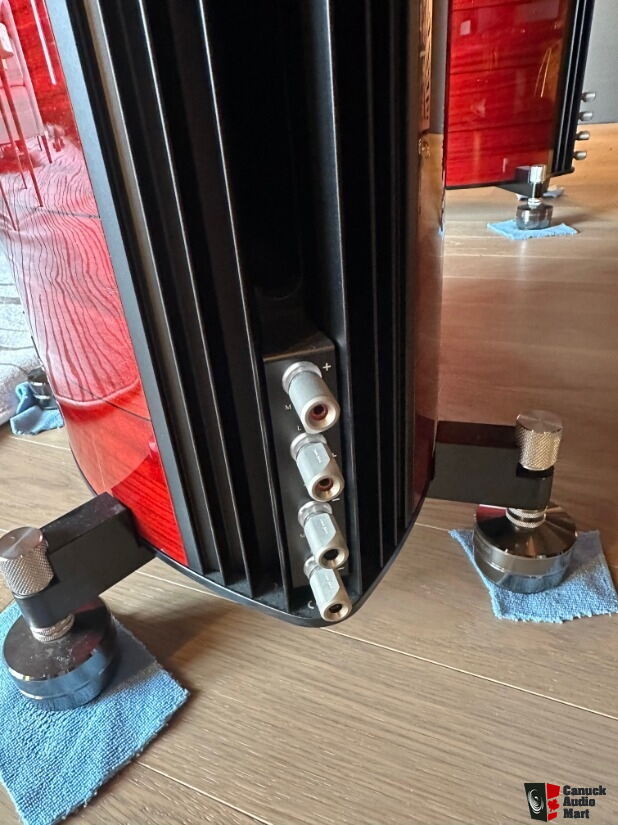 Sonus Faber Amati Tradition - Consignment sale - Price Drop Photo ...