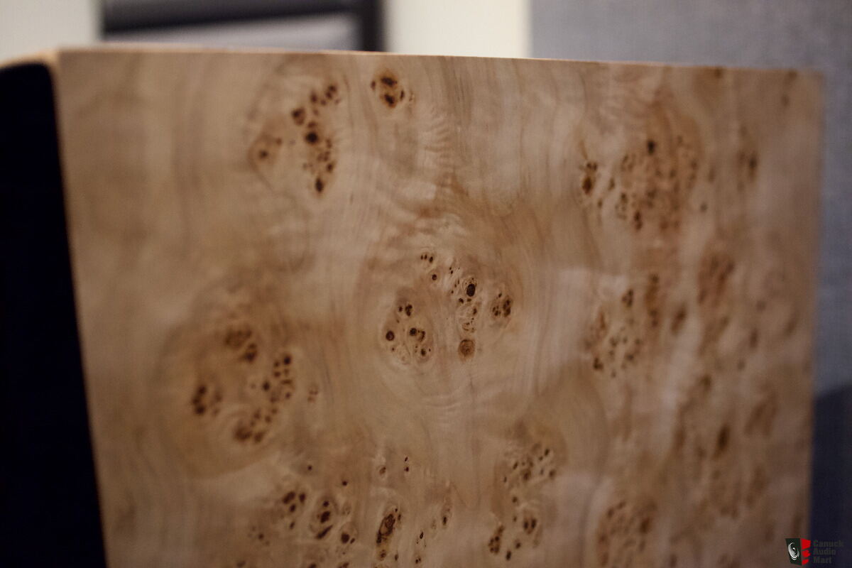ATC SCM300ASLT Premium (Burr Poplar) Active tower demo Photo #6273628 ...
