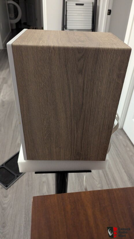 Elac Debut Reference DBR62 whit oak Photo #6274254 - Canuck Audio Mart