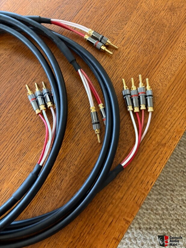 Highly regarded Blue Jeans speaker cables. Canare 4S11 10 foot Biwire ...