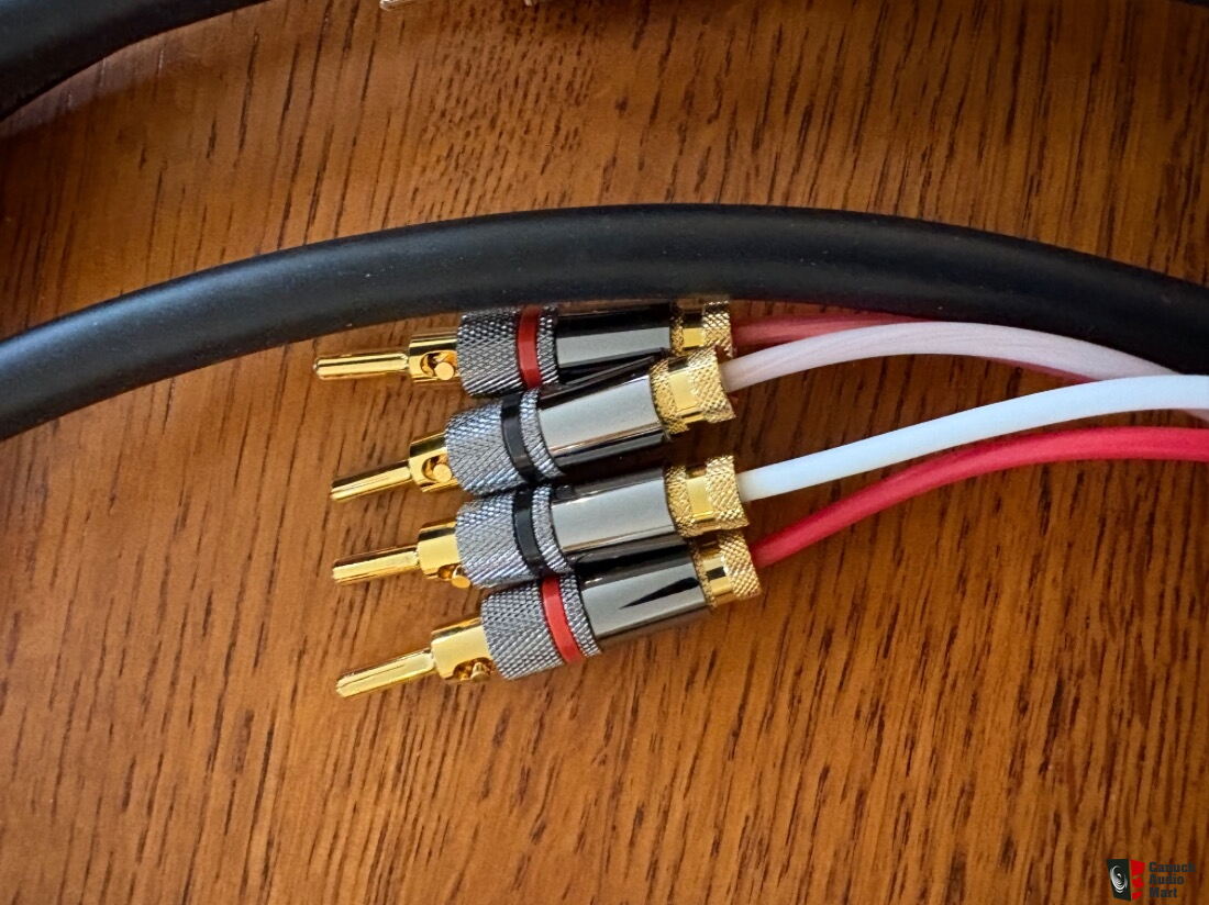 Highly regarded Blue Jeans speaker cables. Canare 4S11 10 foot Biwire ...