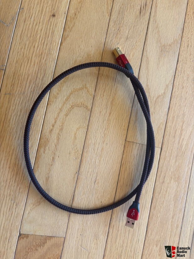 Audioquest Cinnamon USB A to USB B Photo #6279703 - Canuck Audio Mart