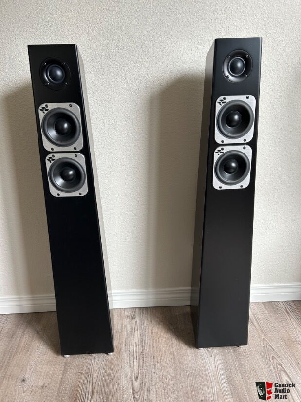 Totem tribe towers Photo #6284328 - Canuck Audio Mart