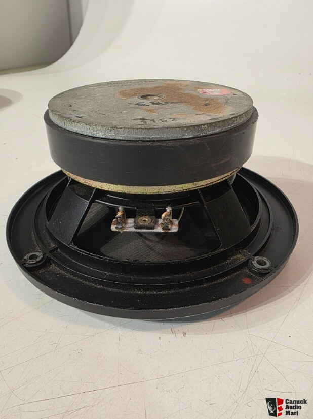 Audax MHD17-HR37-TSM High Efficiency 6.5" Paper Cone Midrange Drivers ...