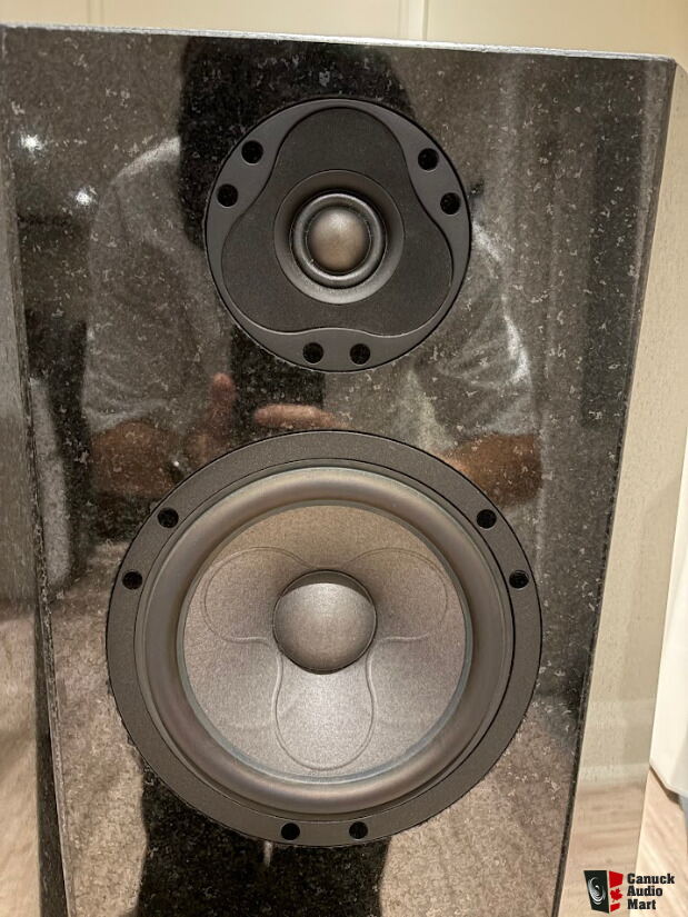 DEMO SALE!!! Acora SRC 1 Floor Standing Speakers. Incredible Value ...