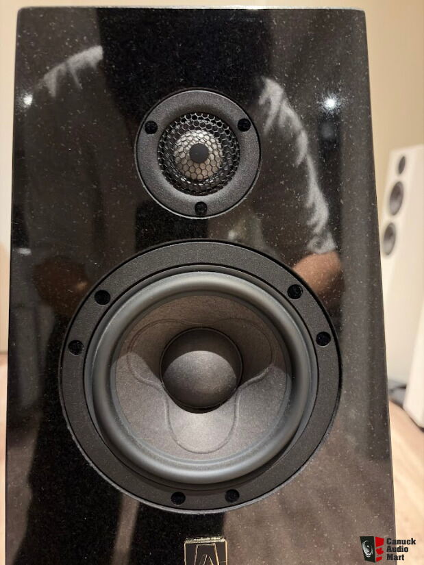 DEMO SALE! Acora SRB Bokshelf speakers with SRS-M Metal Stands Photo ...