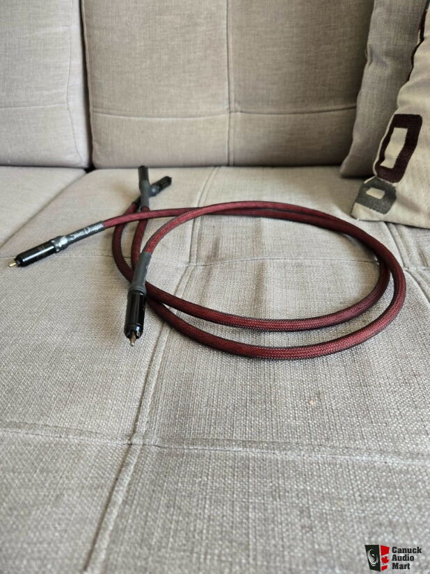 Moon Audio Silver Dragon 3ft RCA interconnects Photo #6288699 - US ...