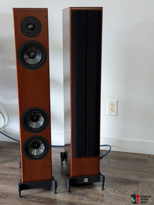 Vienna Acoustics Beethoven Baby - Grand Reference Photo #6289296 ...
