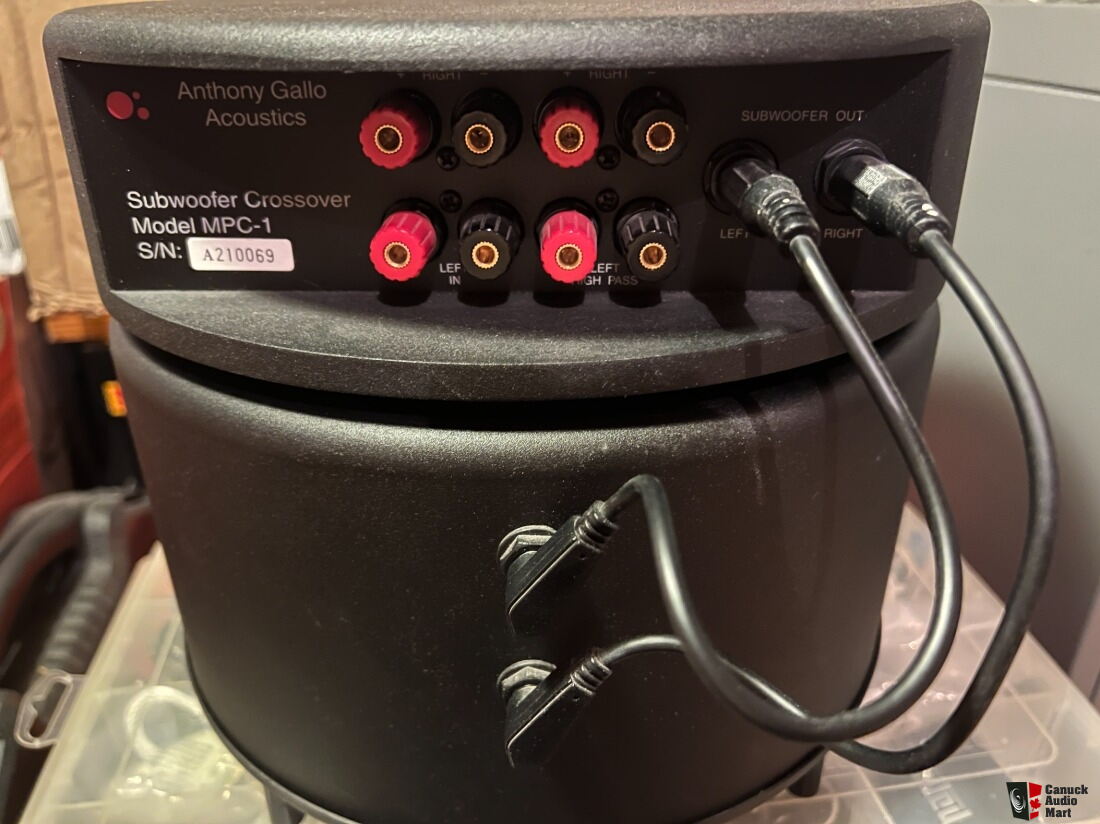 Anthony Gallo Acoustics Nucleus Micro 2.1 Sub/Sat System - Custom Wine ...