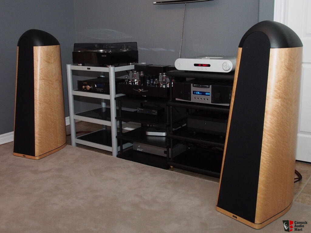 Penaudio Rebel 3 Photo #639885 - US Audio Mart