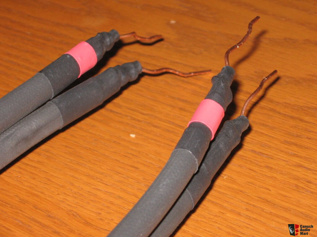 ic's speaker cables Photo #648864 - US Audio Mart