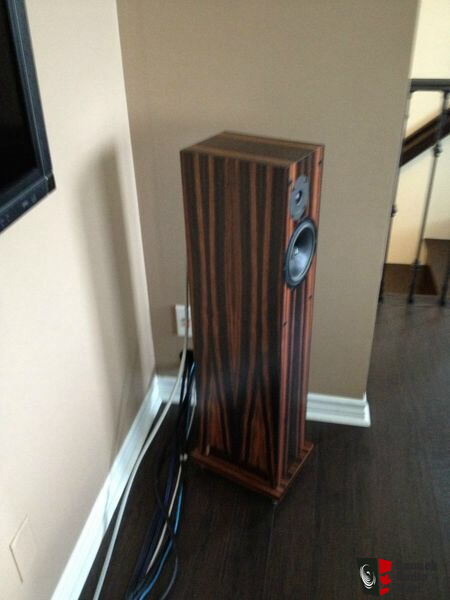 PROAC D18 in Ebony Price Drop Photo #650029 - US Audio Mart