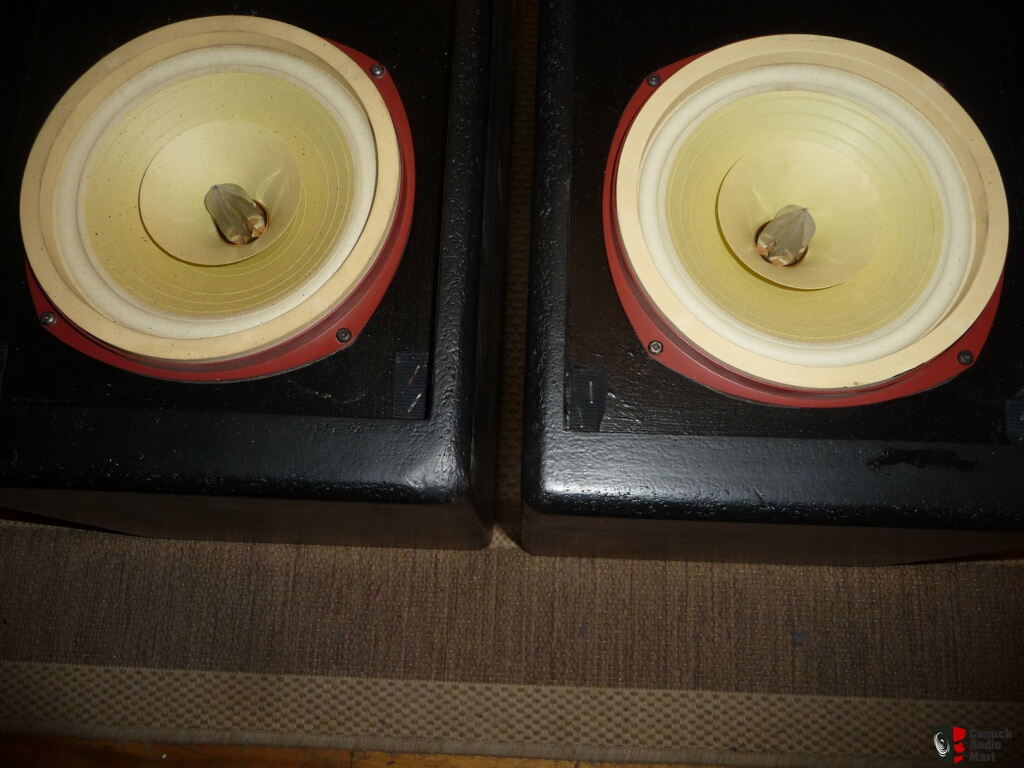 Coral Beta 8 A Fullrange Speakers..pending sale to Art Photo #665078 ...