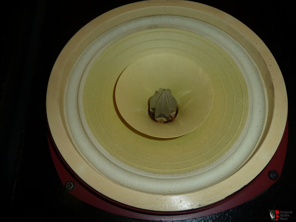 Coral Beta 8 A Fullrange Speakers..pending sale to Art Photo #665078 ...