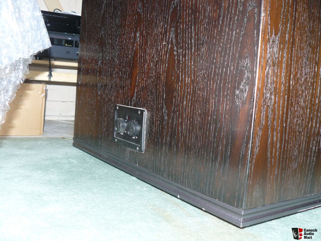 Custom made subwoofer Photo #693913 - US Audio Mart