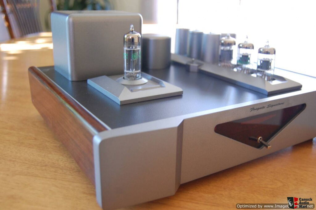 Fosgate Signature Phono Preamp Photo #696868 - US Audio Mart