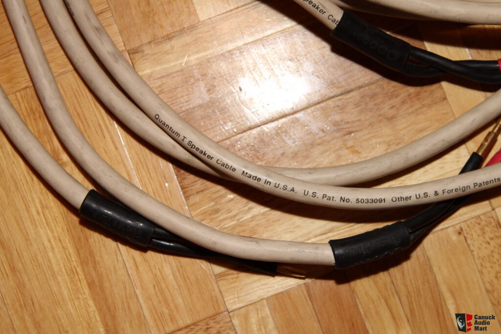 Quantum I speaker cable