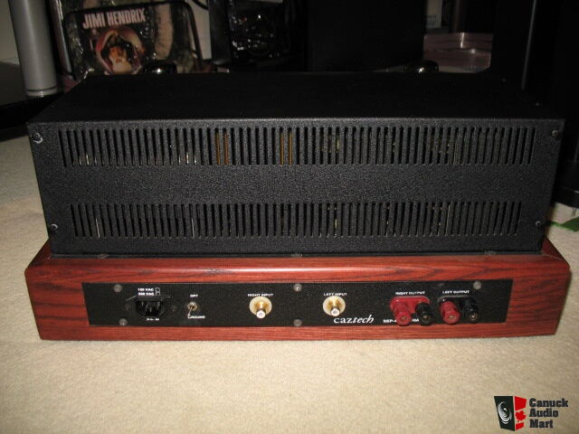 Caztech SEP-40 Tube Amp Photo #729652 - Canuck Audio Mart