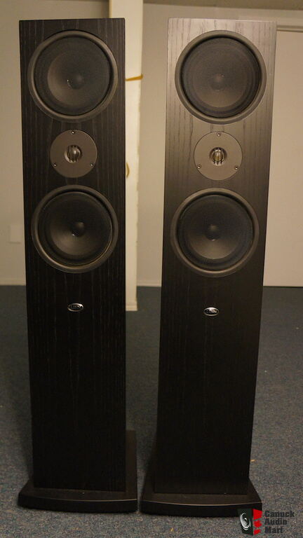 Linn Ninka floorstanding loudspeakers Photo #737948 - US Audio Mart