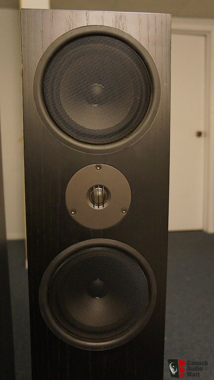Linn Ninka floorstanding loudspeakers Photo #737948 - US Audio Mart