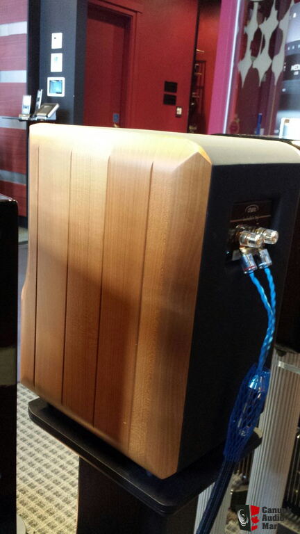Chario CONSTELLATION DELPHINUS Bookshelf Speakers-Price Reduced Photo ...